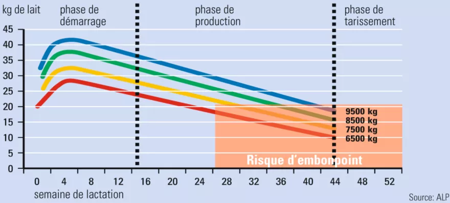 Alimentation des vaches laitières | UFA